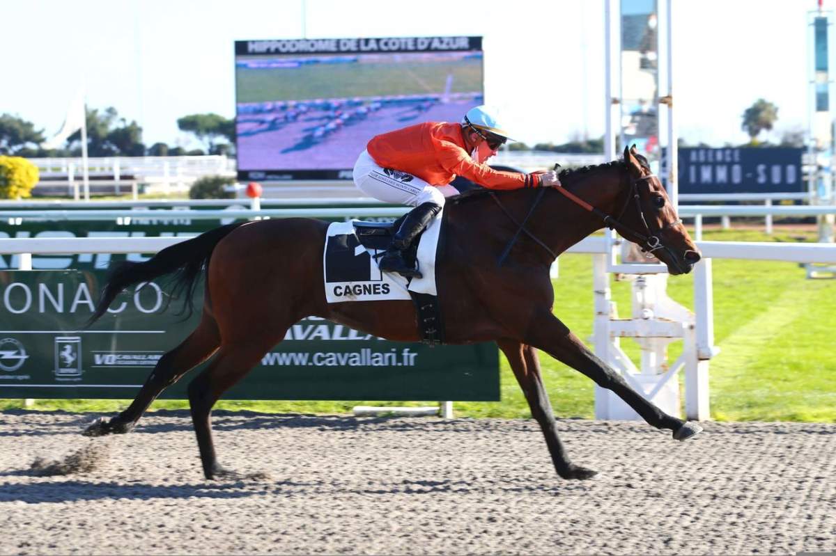 Pronostic Quinté PMU du GRAND HANDICAP DE LAMORLAYE LONGINES du 15 juin ...