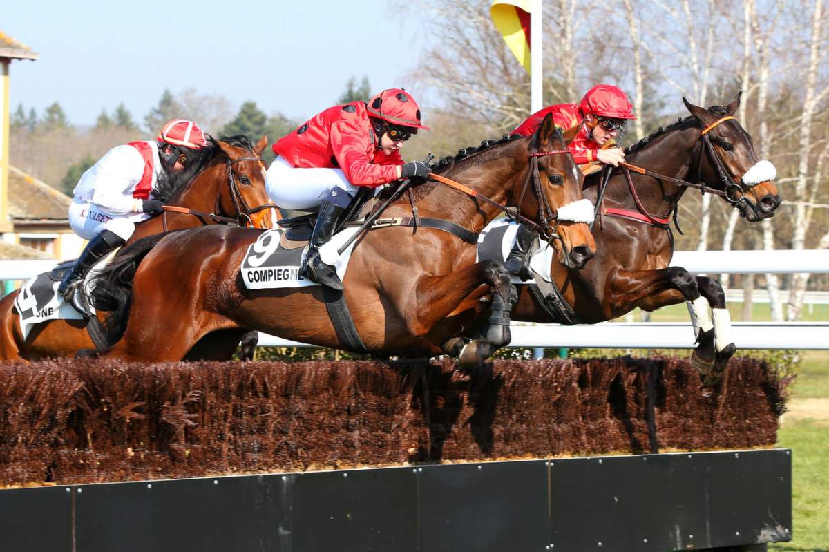 Pronostic Quinté+ PMU Prix Hardadit, samedi à Auteuil. JOUR POLAIRE a ...