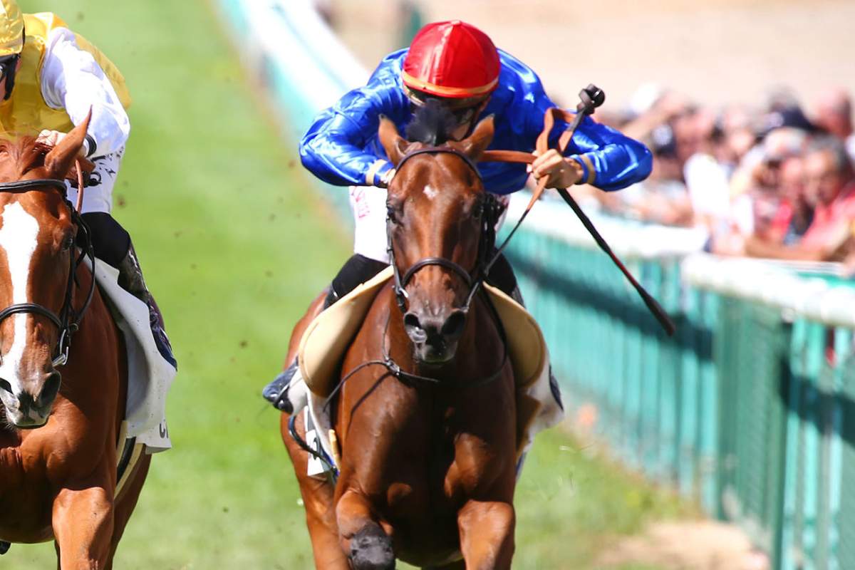 QUEEN SAO - La fiche CANALTURF du cheval, performances pmu, pédigré ...