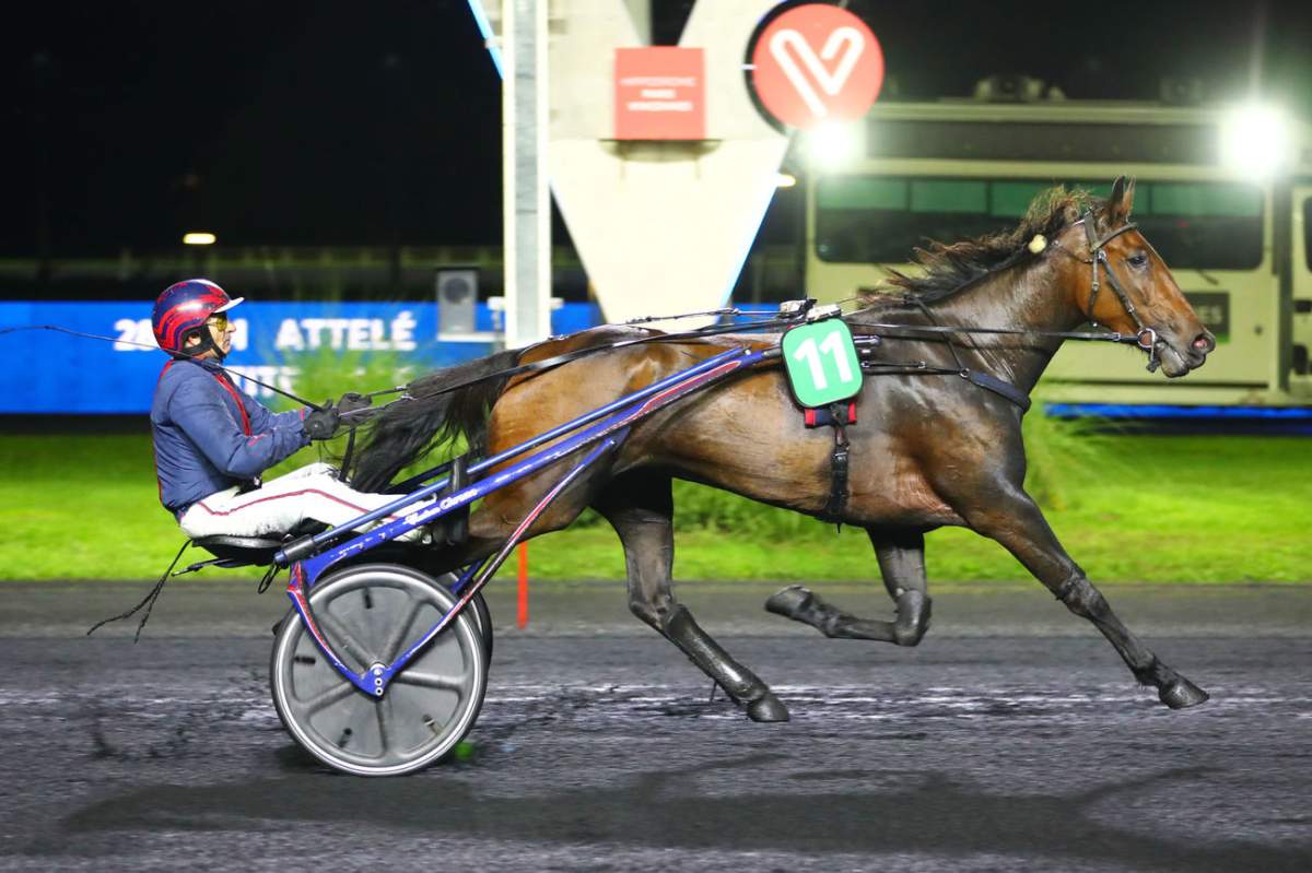 Pronostic gratuit Prix Terres d’Argentan Normandie, mercredi 19 mars ...