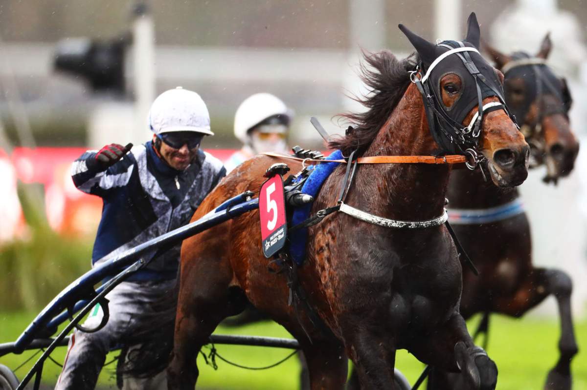 Pronostic Quinté+ Prix de Bretagne (Gr. II) Amérique Races PMU Q#1 ...