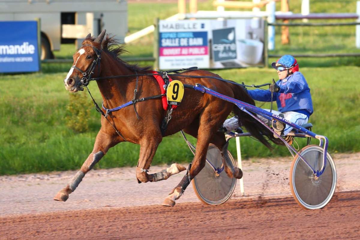 Pronostic gratuit du GRAND PRIX DES METIERS ART ET BIJOU CONTEMPORAINS ...