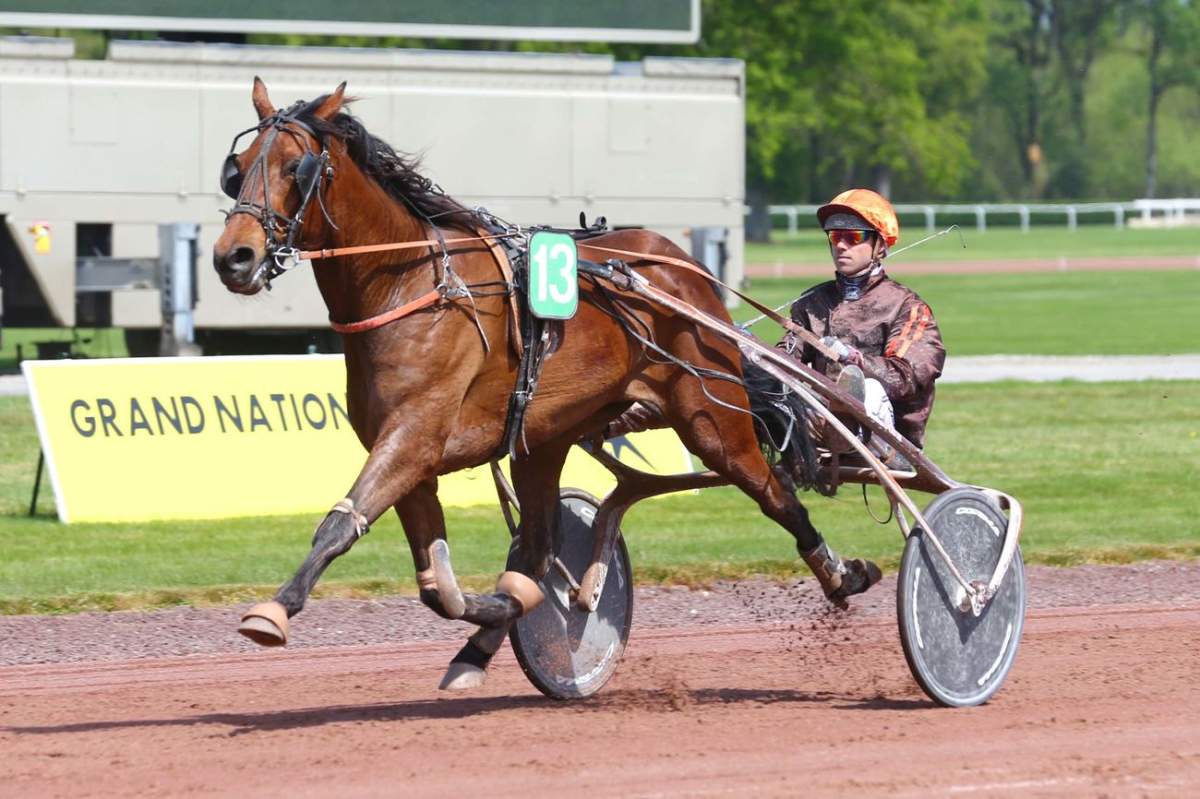 Pronostic gratuit du PRIX YVES ROCHER - 6 août 2025 par Canalturf