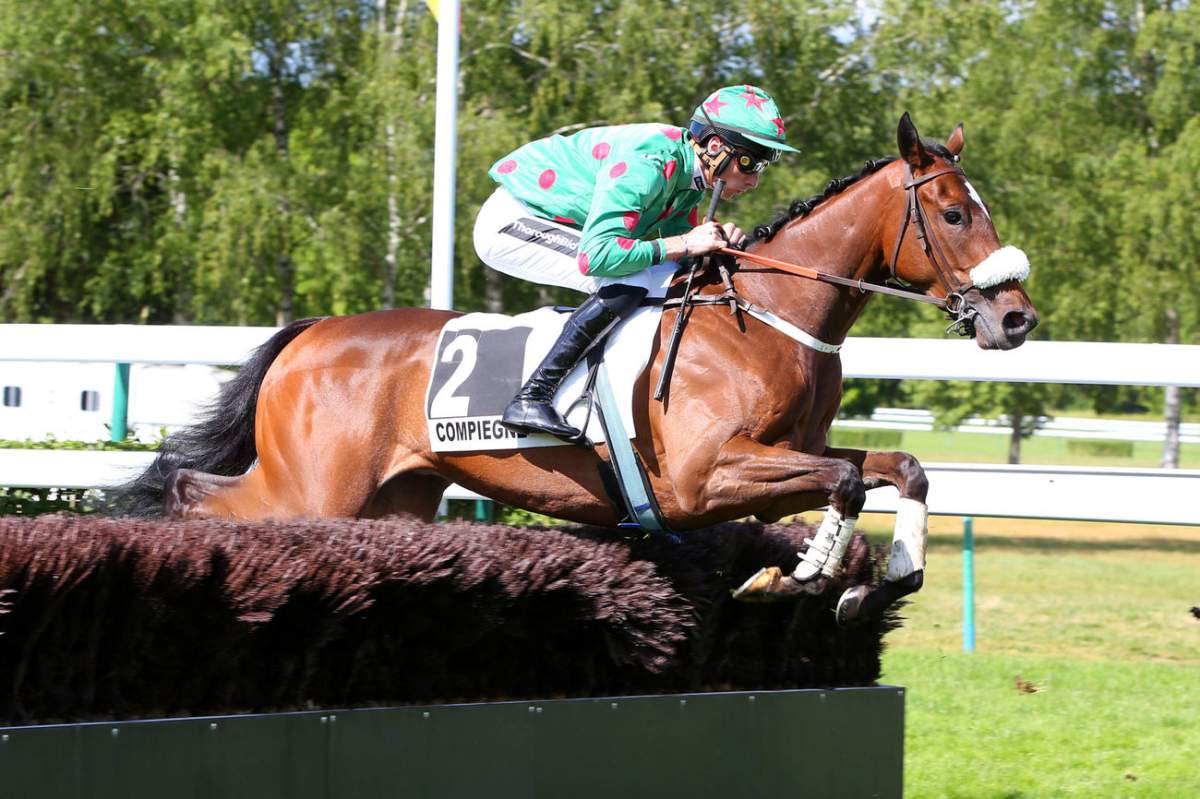 Pronostic gratuit du PRIX ARTHUR VEIL-PICARD - 2 mai 2026 par Canalturf