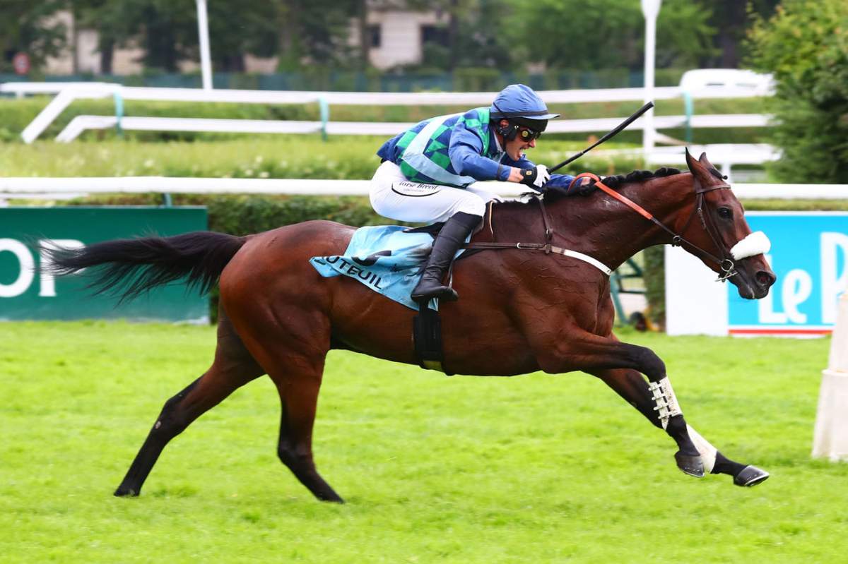 Grand Steeple-Chase de Paris (Gr.I) dimanche 18 mai 2025, J-4. SEL JEM ...