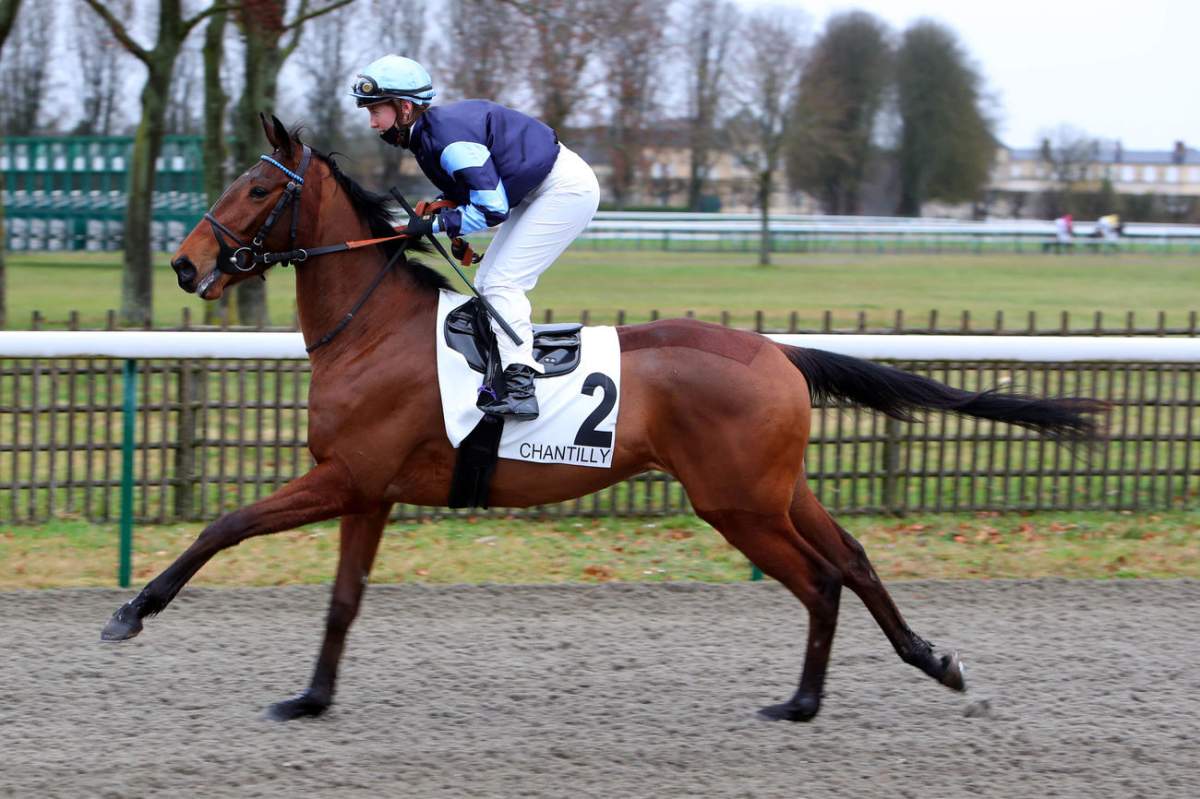 Pronostic gratuit du PRIX DU PAYS D'ORTHE - 16 oct. 2025 par Canalturf