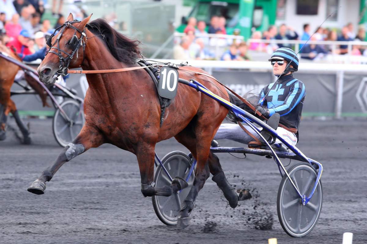 Pronostic PMU Prix d'Amérique Races Zeturf - Legend Race - Prix d ...