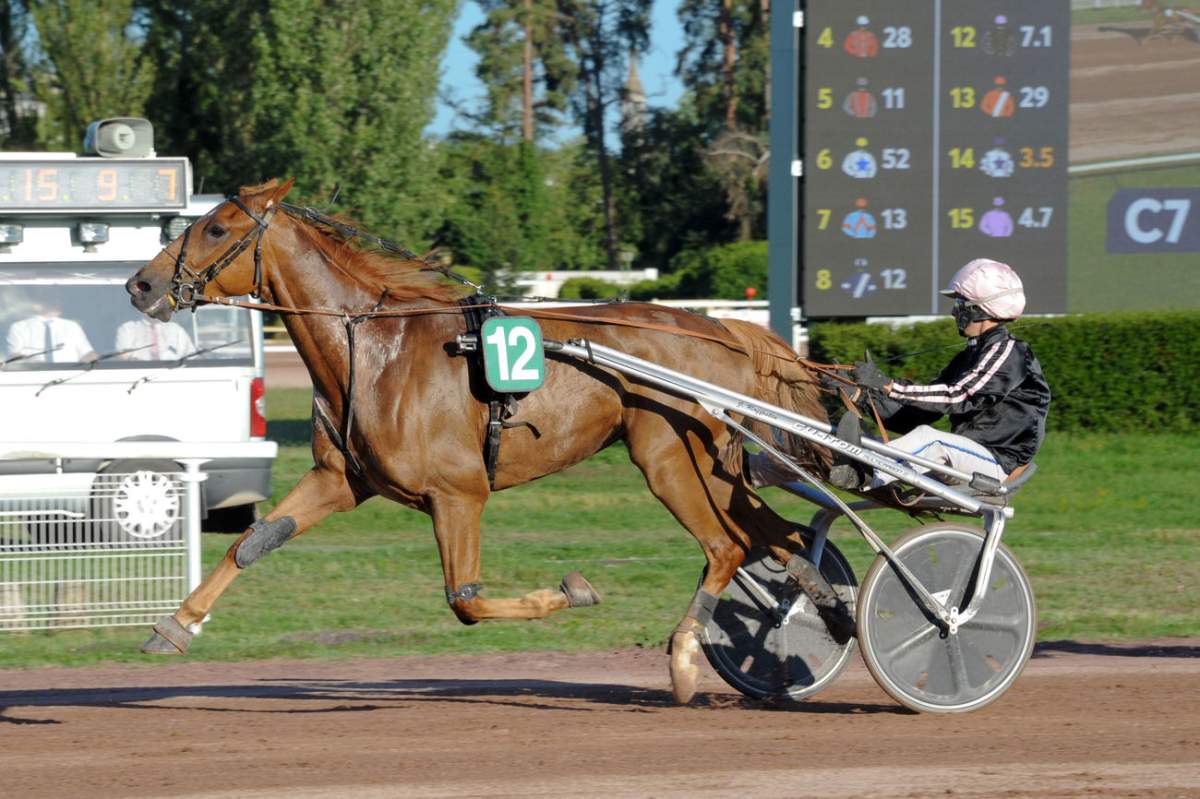 Pronostic Quinté PMU du GRAND NATIONAL DU TROT du 18 juin 2025