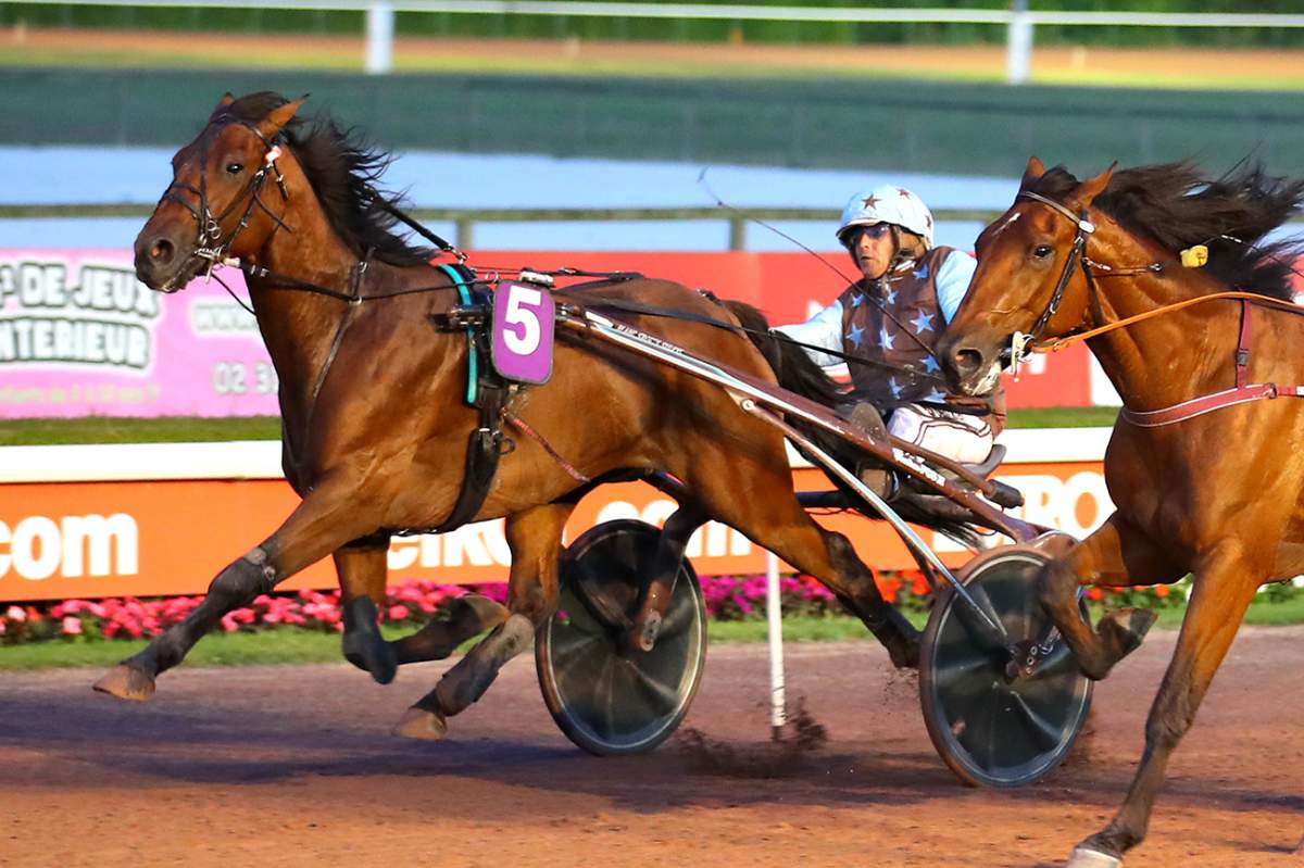 JACK QUICK - La fiche CANALTURF du cheval, performances pmu, pédigré ...