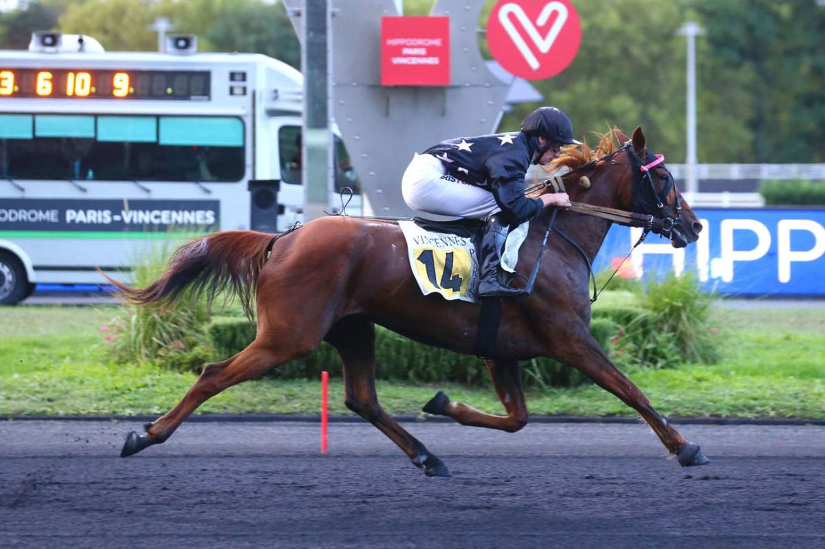 Pronostic gratuit du PRIX CONCORDIA - 5 sept. 2025 par Canalturf