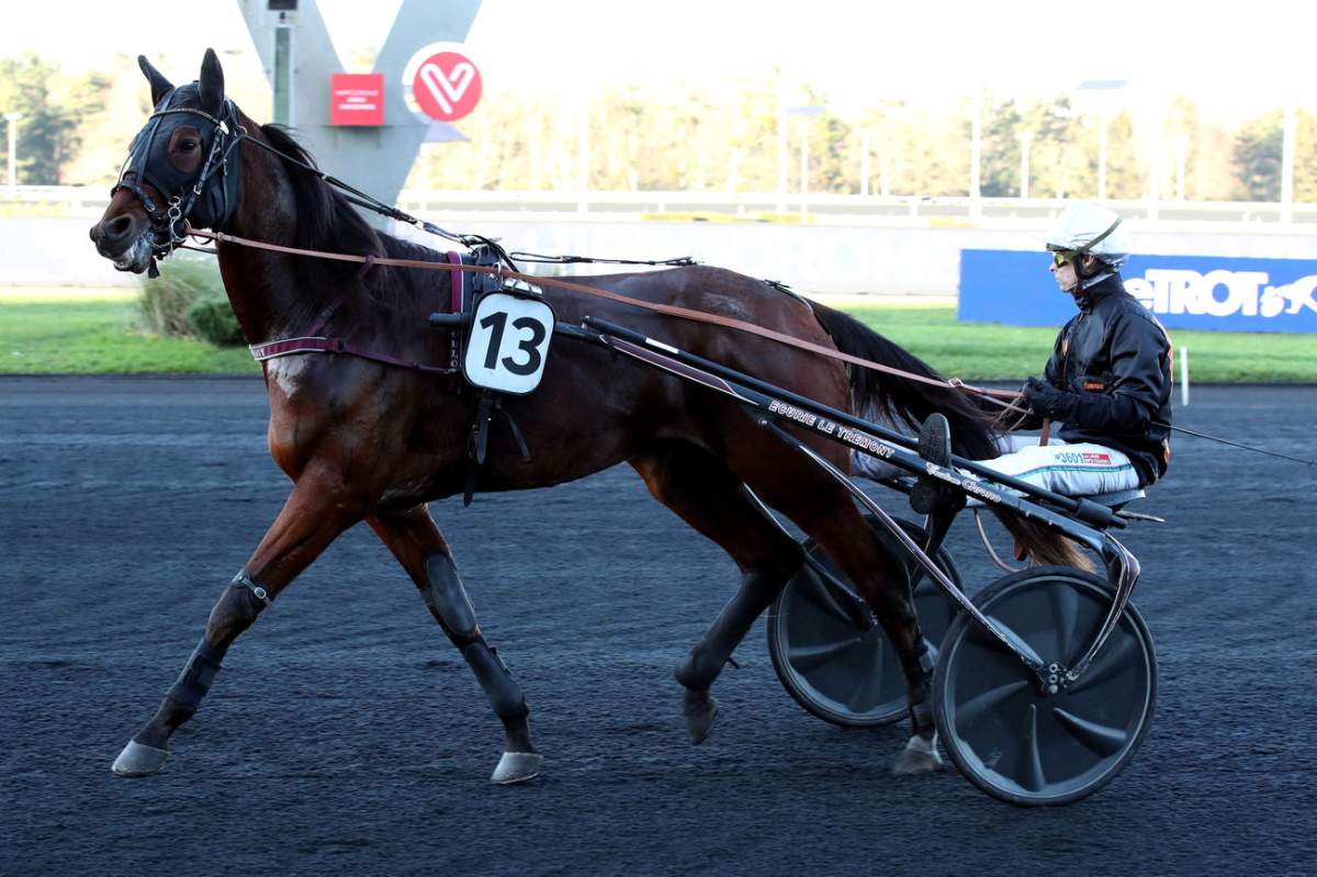 Pronostic quinté+ Prix Pierre Van Troyen, vendredi, à Vincennes. KATAKI ...