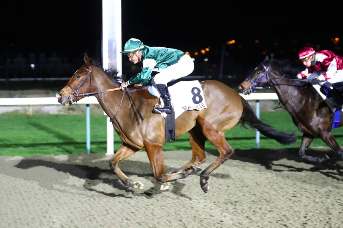 Pronostic gratuit du PRIX DU VAL FLEURI ET DES VESPINS (PRIX DU ...