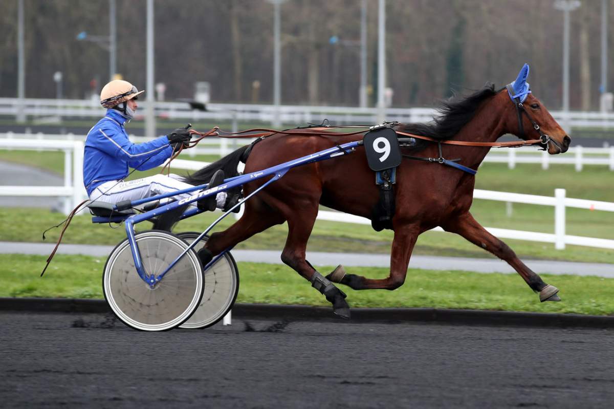 KALISKA DE FORGAN - La fiche CANALTURF du cheval, performances pmu ...