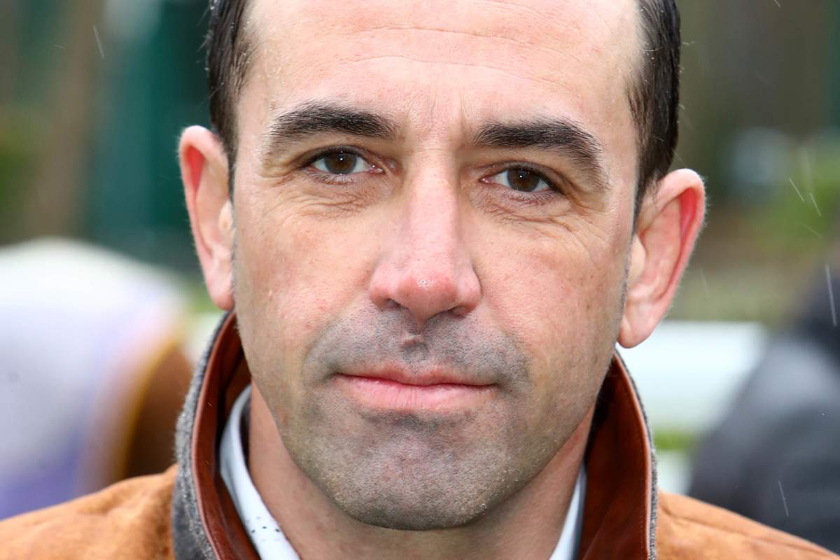 Stéphane GOUVAZE - La fiche de l'entraineur sur les 12 derniers mois ...