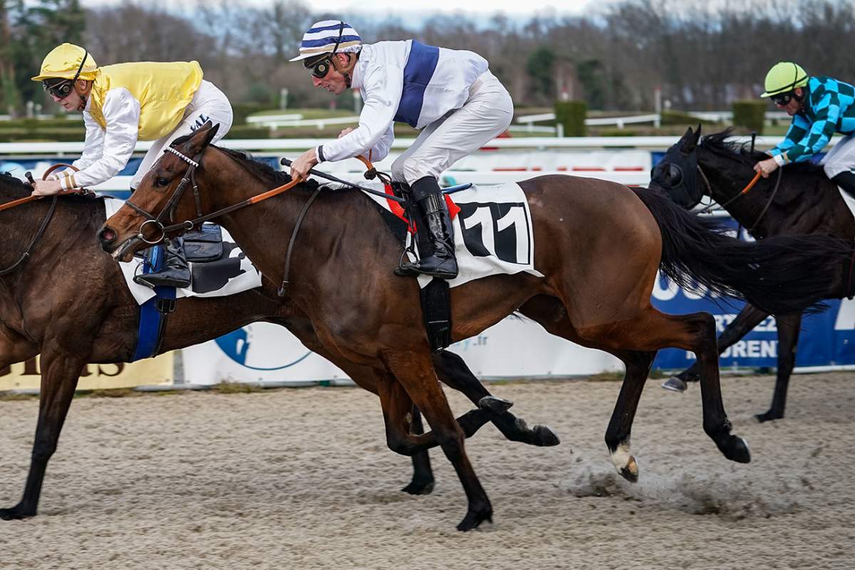 Pronostic Quinté Pmu Du Prix Le Journal Le Veinard Du 21 Juill 2024