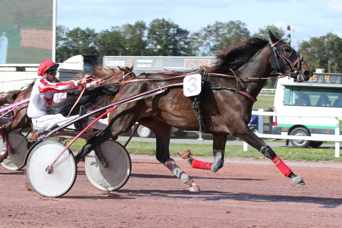 KARAIELLA BOND - La fiche CANALTURF du cheval, performances pmu ...