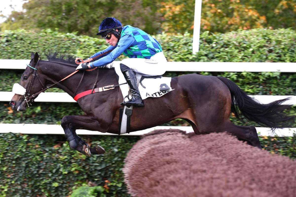 Arrivée PMU Pick5 Prix Hypothèse (Gr. III), samedi à Auteuil. KANDY ...