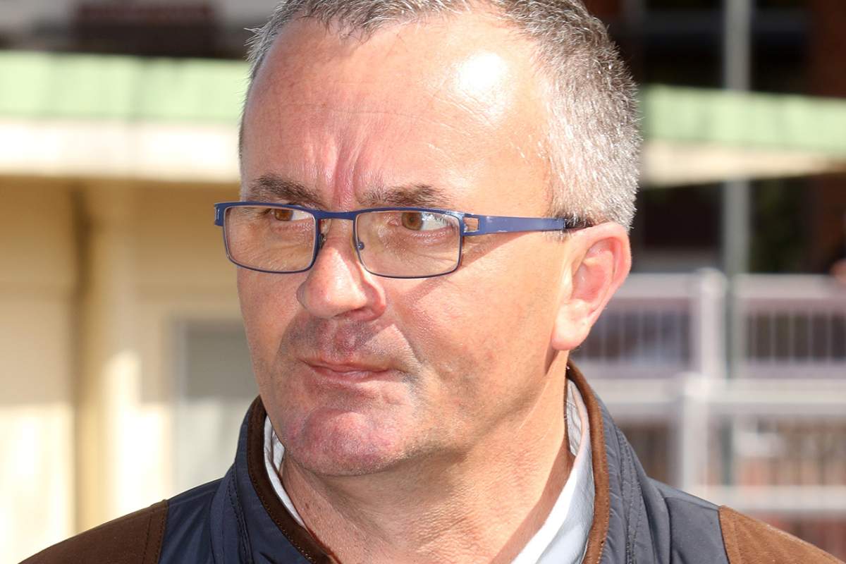 David BERNIER - La fiche de l'entraineur sur les 12 derniers mois ...