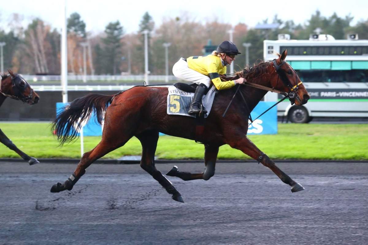 Pronostic gratuit du PRIX PIERRE GIFFARD - 17 déc. 2025 par Canalturf