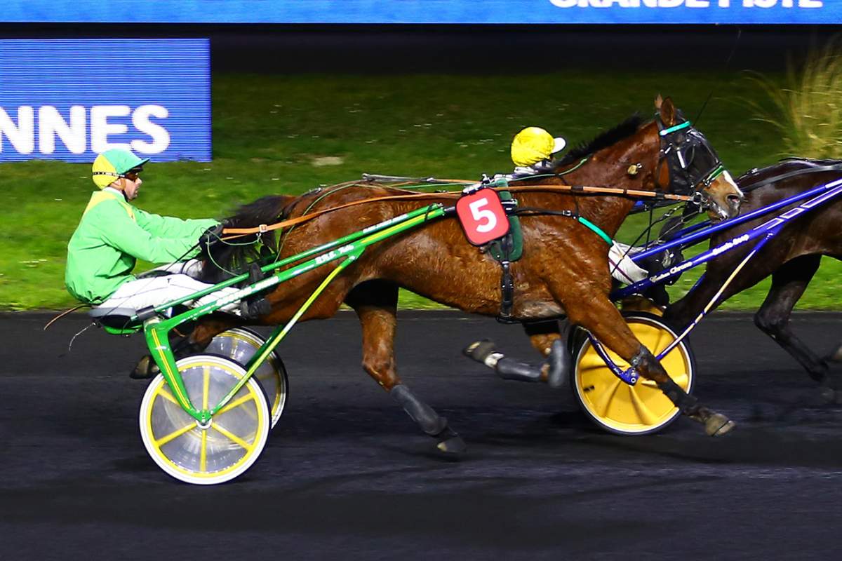 INVITE D'OBRET - La fiche CANALTURF du cheval, performances pmu ...