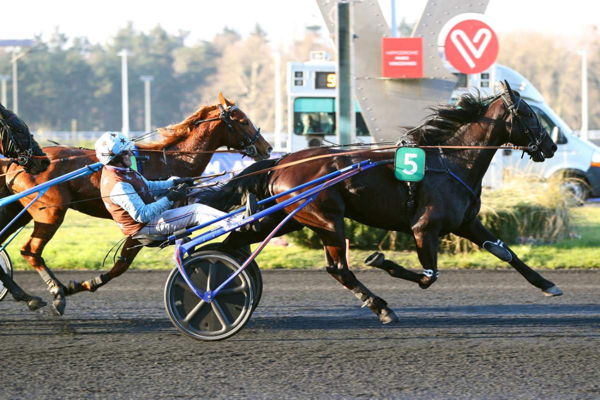 KUNG FU QUICK - La fiche CANALTURF du cheval, performances pmu, pédigré ...