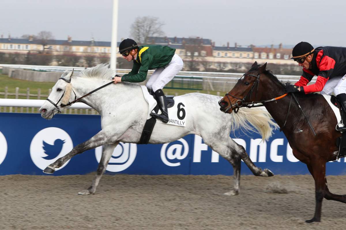 RANNAN - La fiche CANALTURF du cheval, performances pmu, pédigré ...