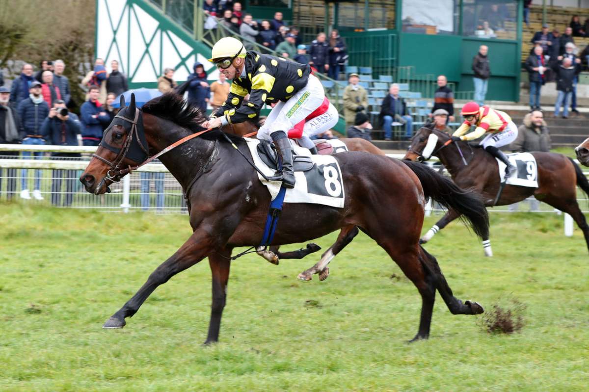 PILE OU FACE - La fiche CANALTURF du cheval, performances pmu, pédigré ...