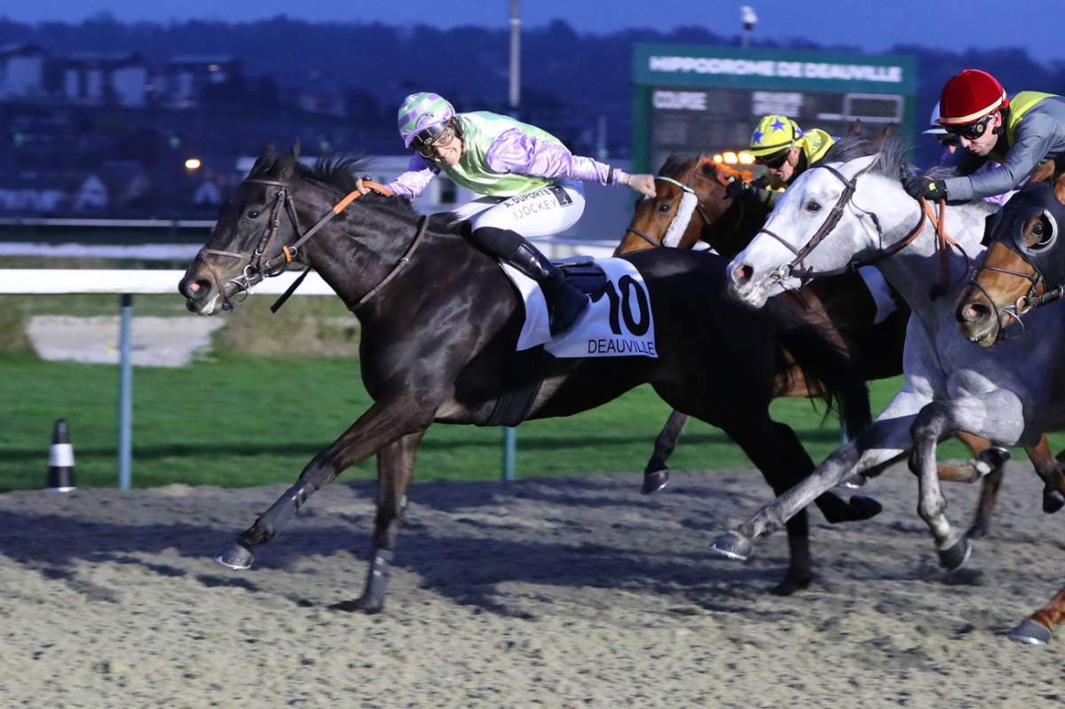 RIHAMA - La fiche CANALTURF du cheval, performances pmu, pédigré ...