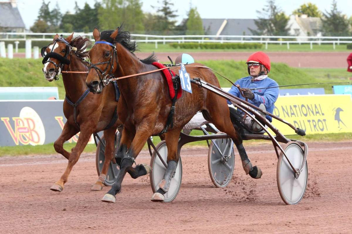 Pronostic Quinté+ PMU Prix de Châtelperron, lundi 1er juin à Vichy ...