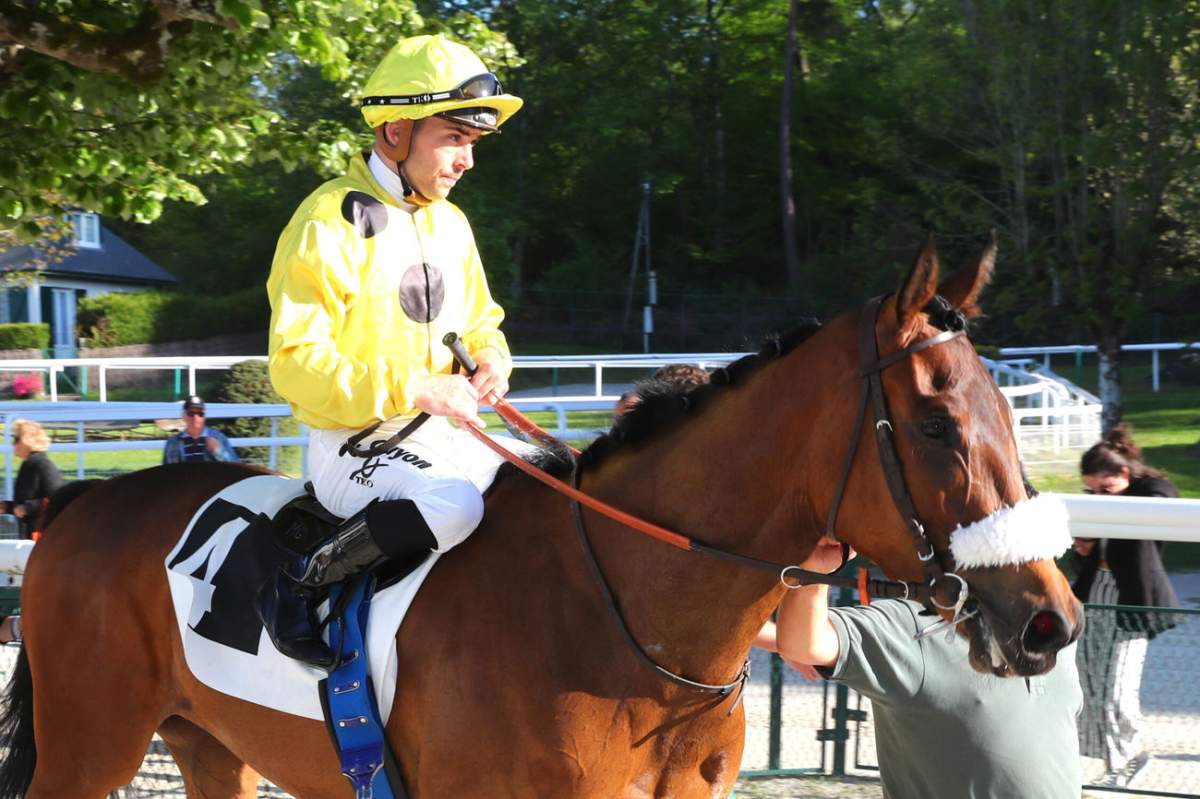 BURWASH - La fiche CANALTURF du cheval, performances pmu, pédigré ...