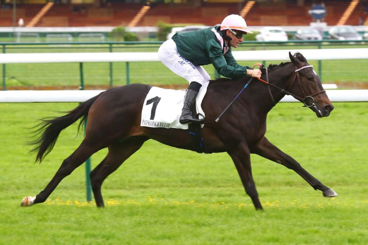 Résultats pmu. Arrivée du Critérium de Vitesse (Listed-race), jeudi, à ...