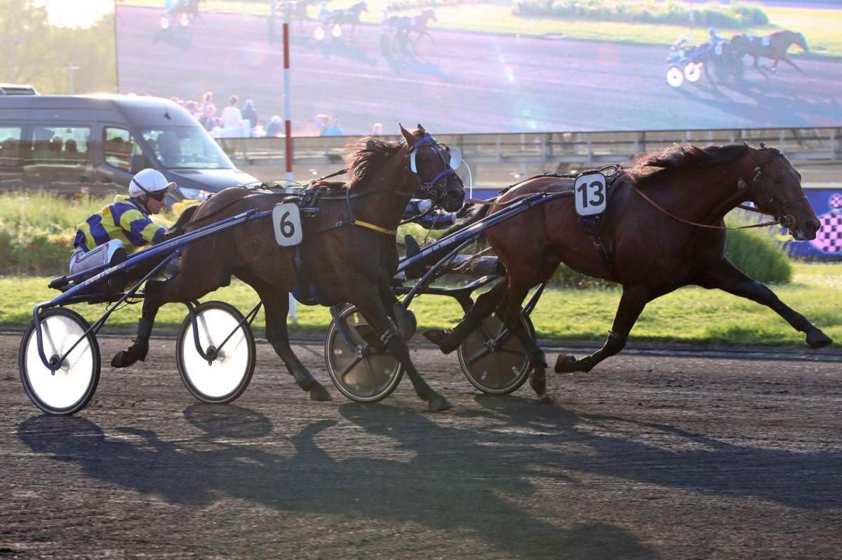 Résultat PMU Quinté+ Prix Jean Riaud (Gr. III), vendredi soir à ...