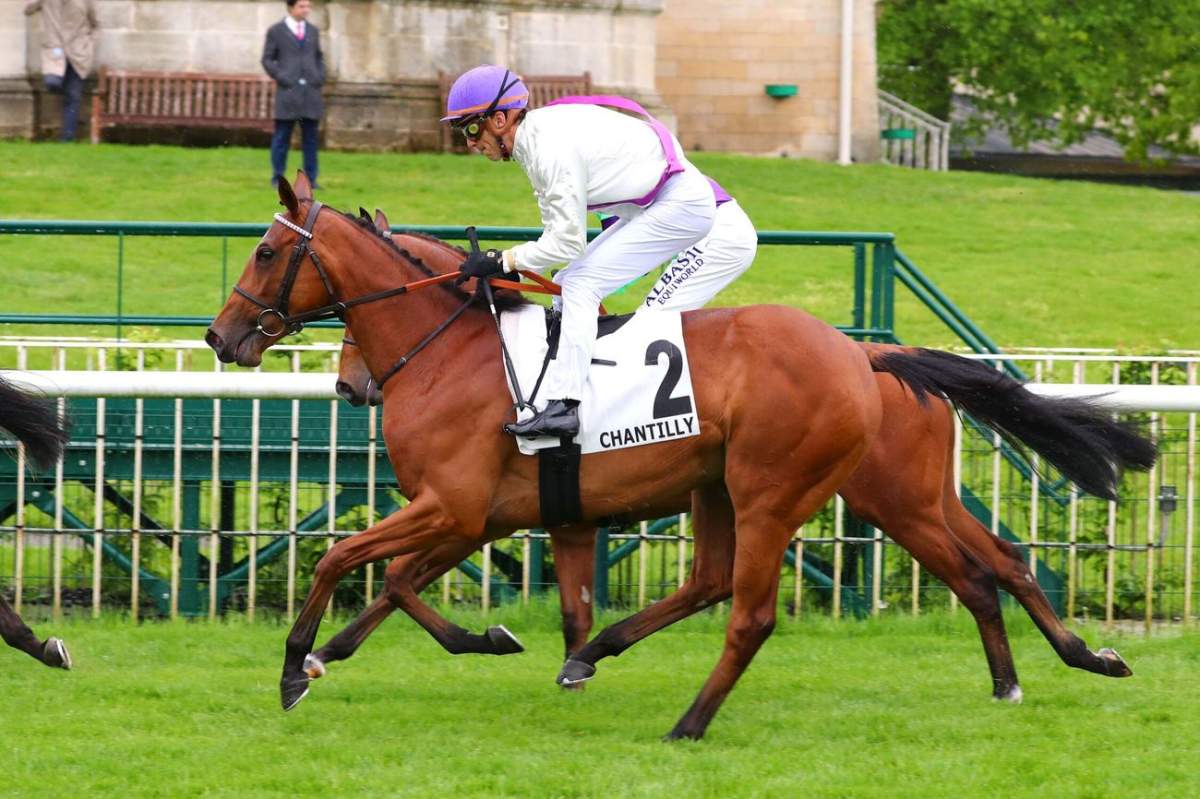 Arrivée PMU Prix Six Perfections Sky Sports Racing (Gr. III), dimanche ...