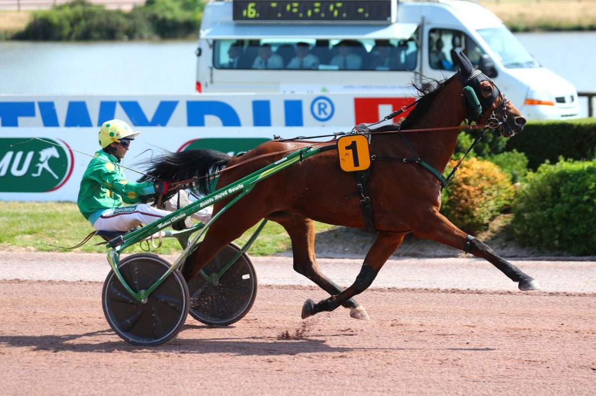 HALFAN SPEED - La fiche CANALTURF du cheval, performances pmu, pédigré ...