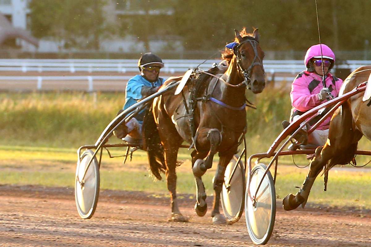Pronostic Quinté PMU du PRIX DE CLAIREFONTAINE du 29 mai 2026