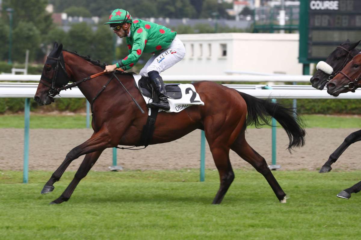 TREIZIEME MOIS - La fiche CANALTURF du cheval, performances pmu ...