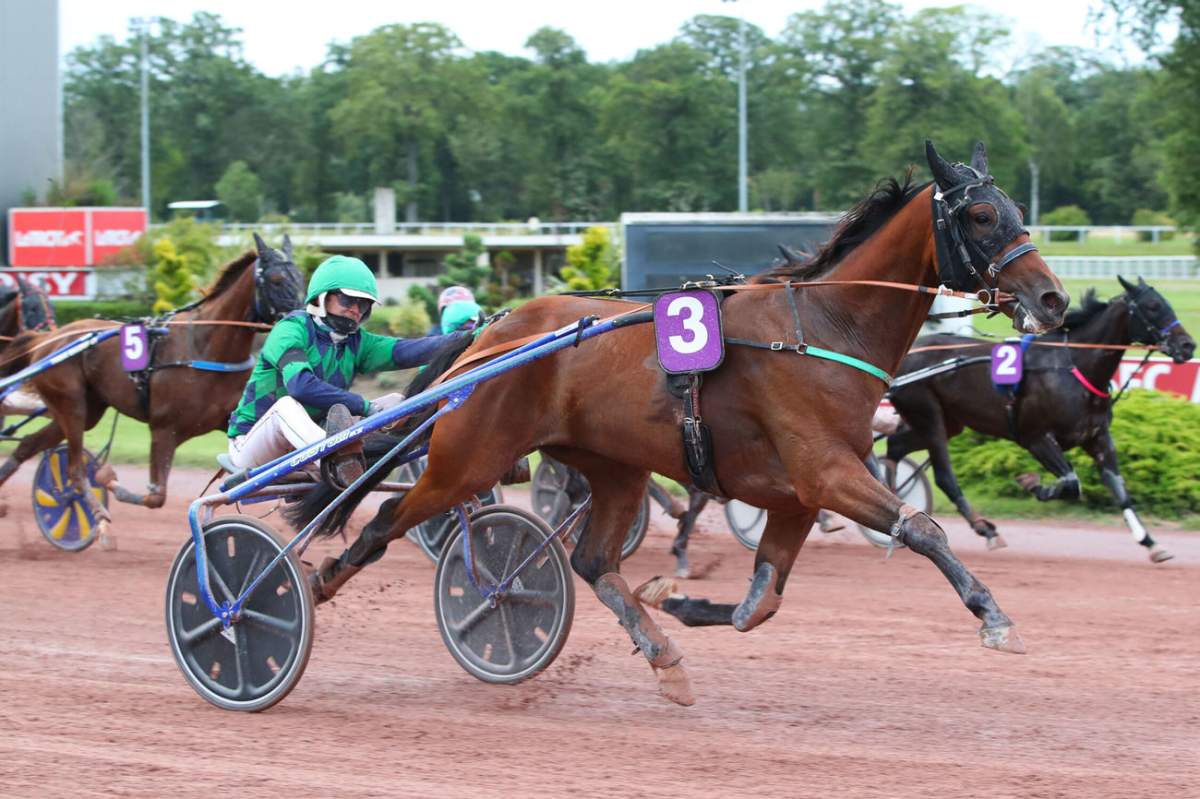 KISS ME SIMON - La fiche CANALTURF du cheval, performances pmu, pédigré ...