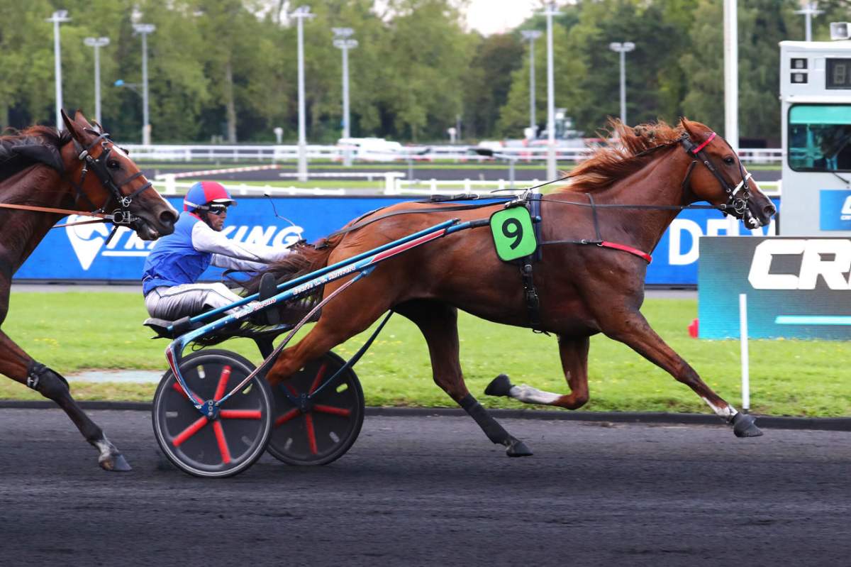 Pronostic gratuit du PRIX TENOR DE BAUNE - AMERIQUE RACES Q4 - 22 déc ...