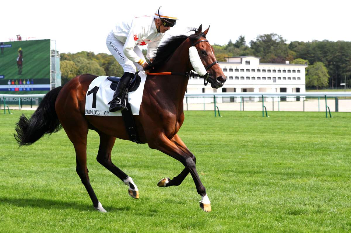 Pronostic gratuit du PRIX PHIL DRAKE - 21 juin 2024 par Canalturf