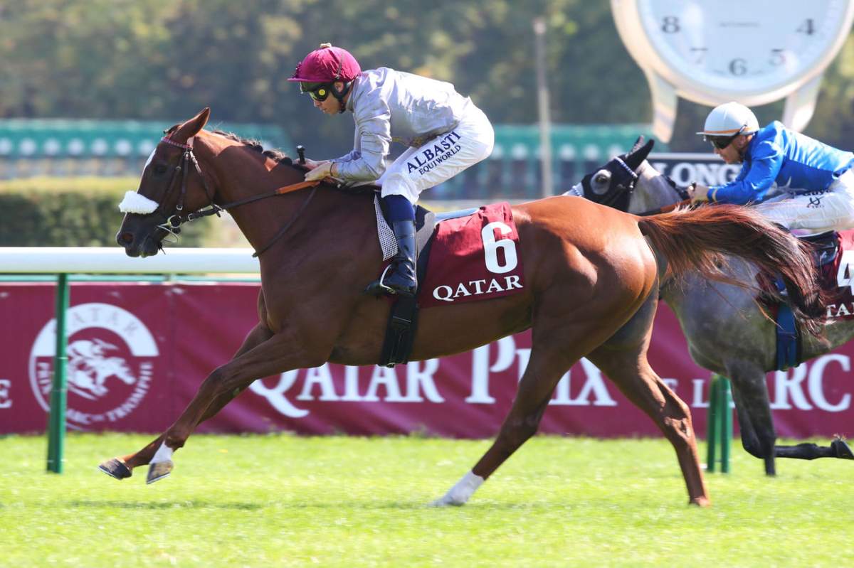 Arrivée PMU Qatar Cup - Prix Dragon (Gr1), dimanche à ParisLongchamp ...
