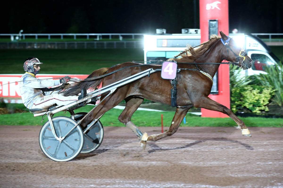 LEONARDO ROC - La fiche CANALTURF du cheval, performances pmu, pédigré ...
