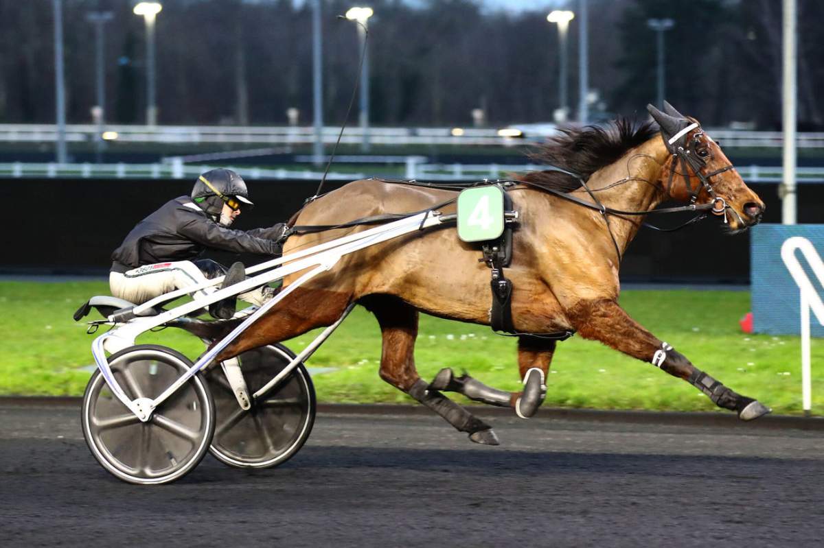 Pronostic Quinté PMU du PRIX J XII-J TWELVE (PRIX JEAN-YVES LECUYER) du ...