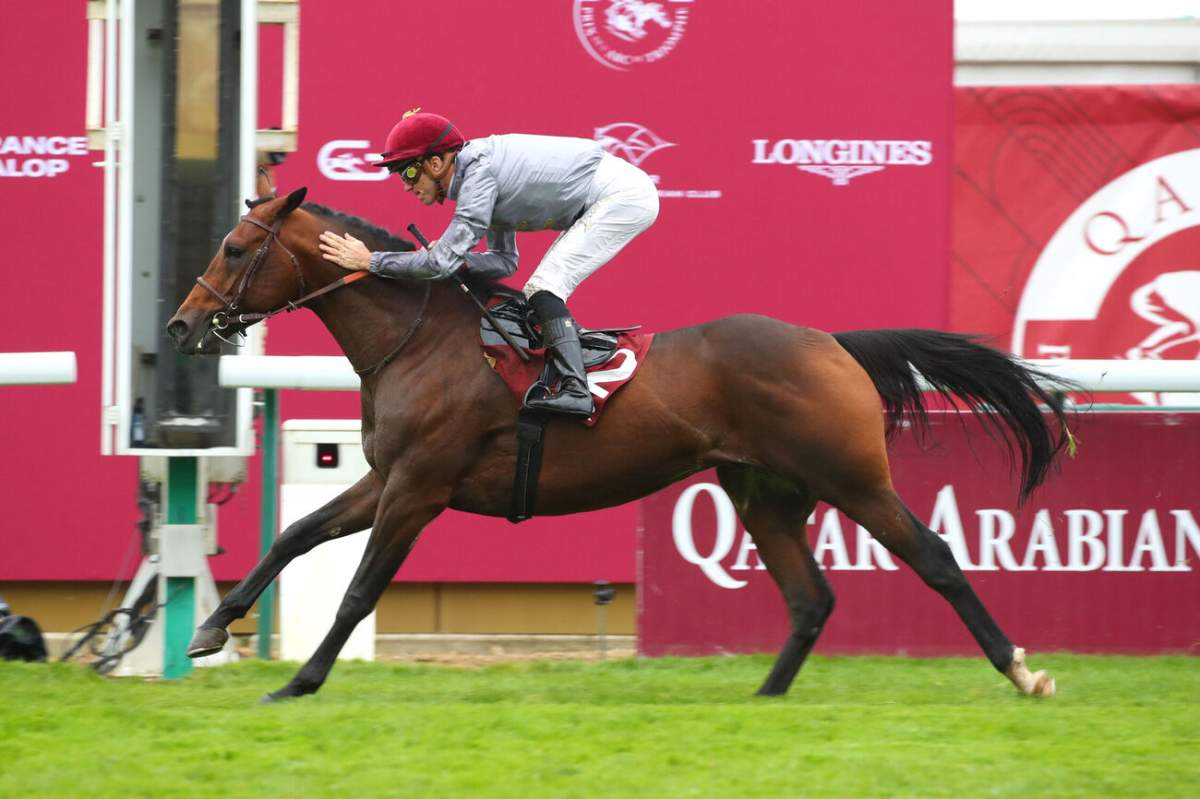 Arrivée Qatar Arabian World Cup (Gr. I), dimanche à ParisLongchamp. AL ...
