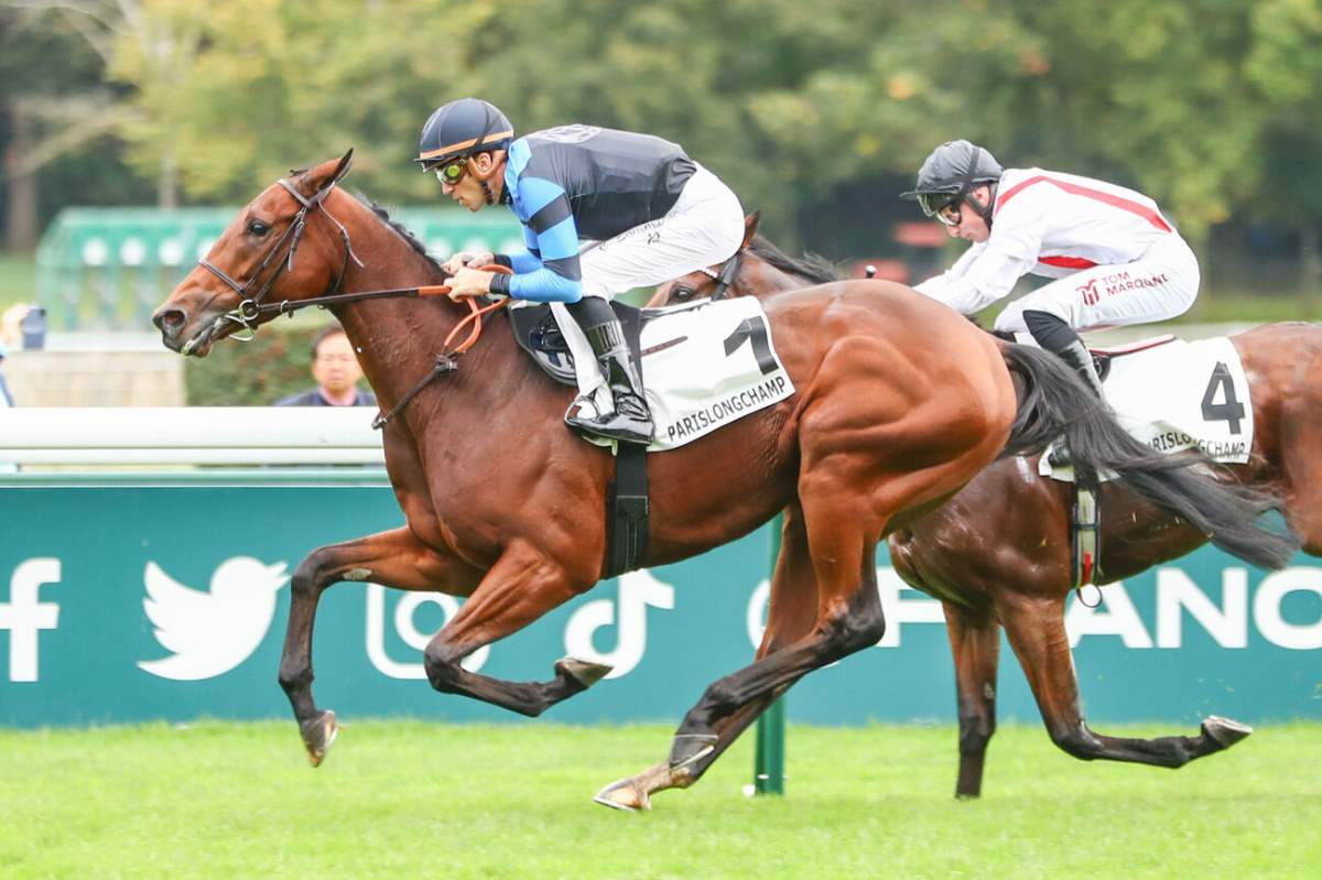 Pronostic gratuit du GRAND PRIX DE CHANTILLY - 31 mai 2026 par Canalturf