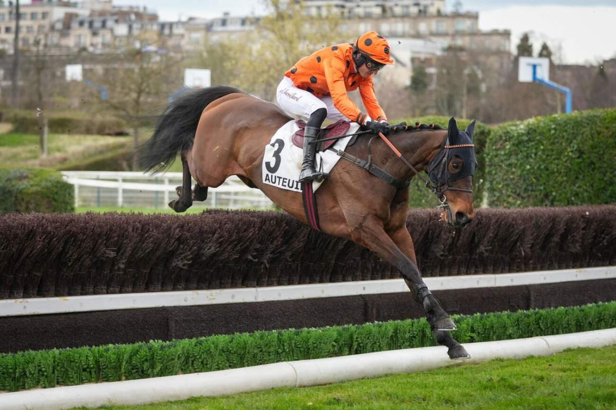 NYIRI - La fiche CANALTURF du cheval, performances pmu, pédigré ...