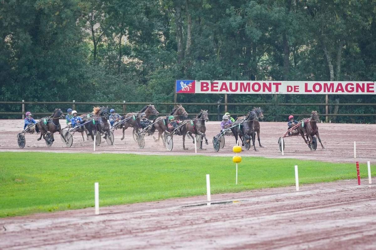 Mercredi, à Beaumont-de-Lomagne (R-4). Louis Lalande : Je la pense ...