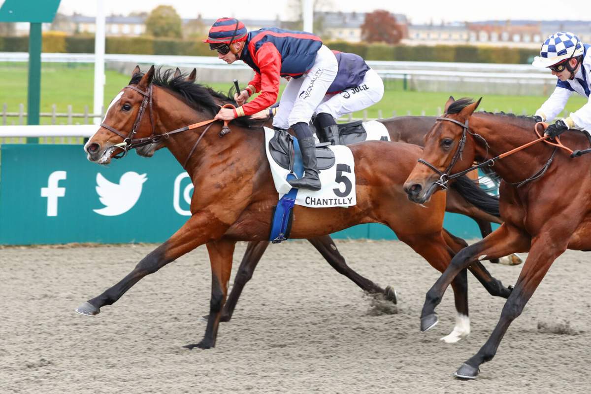 Pronostic Quinté+ PMU Prix Benjamin Boutin, lundi 9 juin 2025 à ...