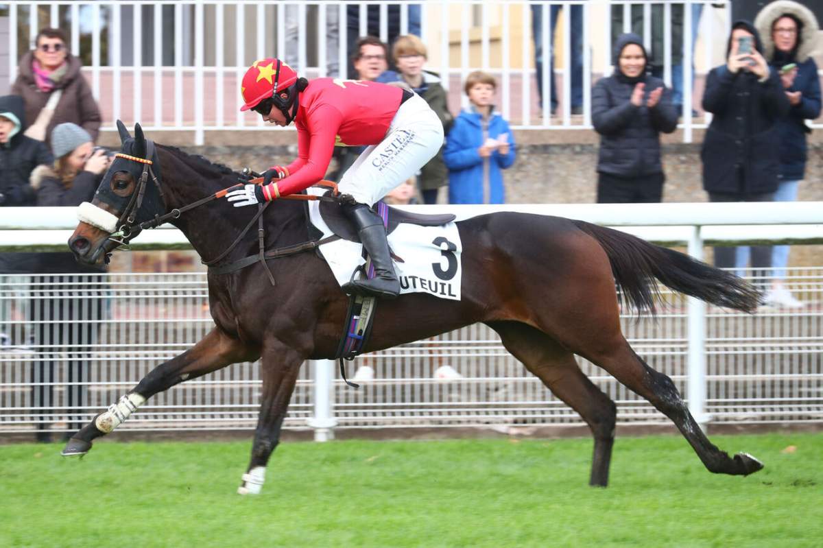 MANAVA - La fiche CANALTURF du cheval, performances pmu, pédigré ...