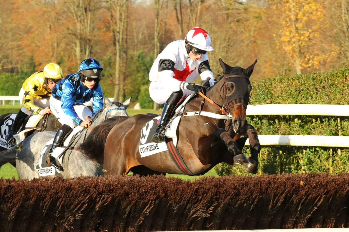 MISS MAELYS - La fiche CANALTURF du cheval, performances pmu, pédigré ...