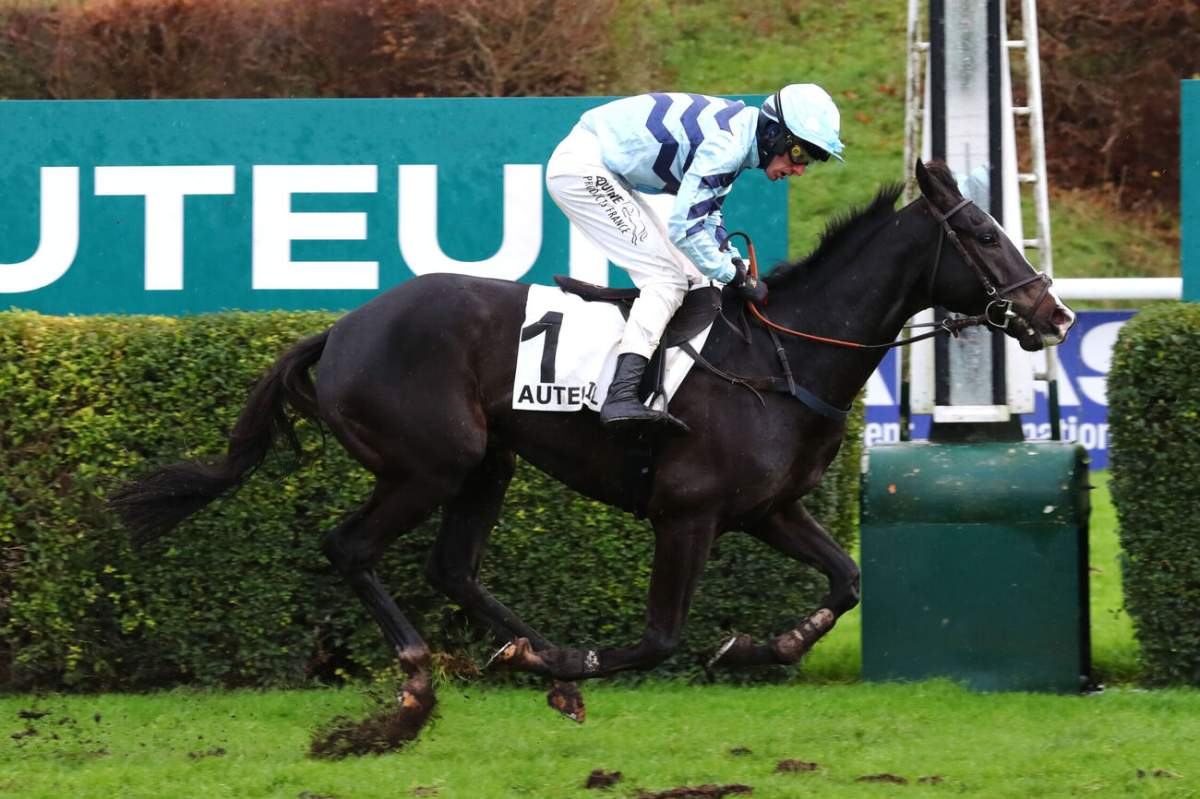 Pronostic Quinté PMU du LE DEFI DES HARAS - GRAND STEEPLE-CHASE DE ...